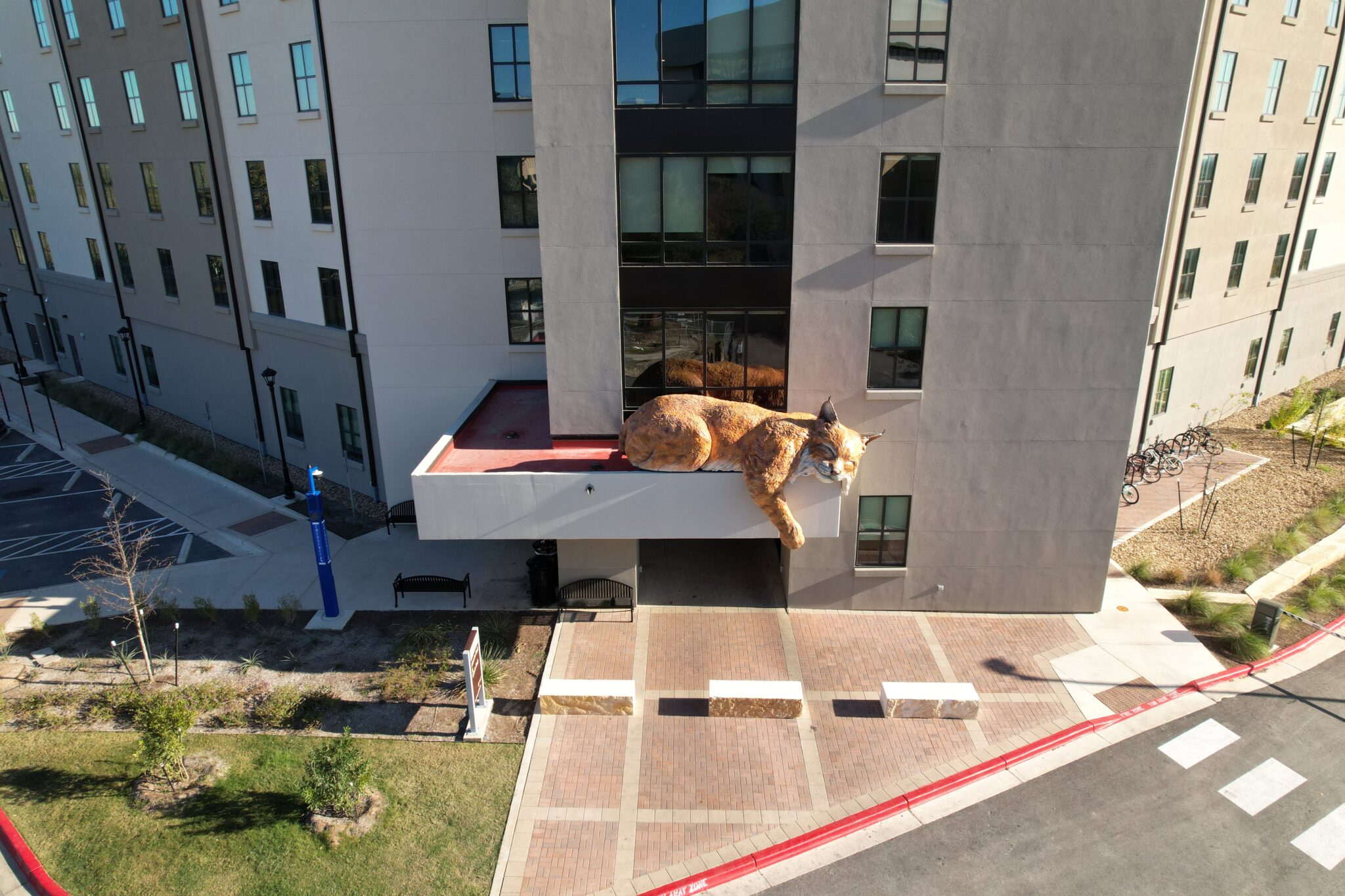 Matthew Mazzotta’s ‘LOCAL HABITAT’ Sculpture Reflects Student Life at ...